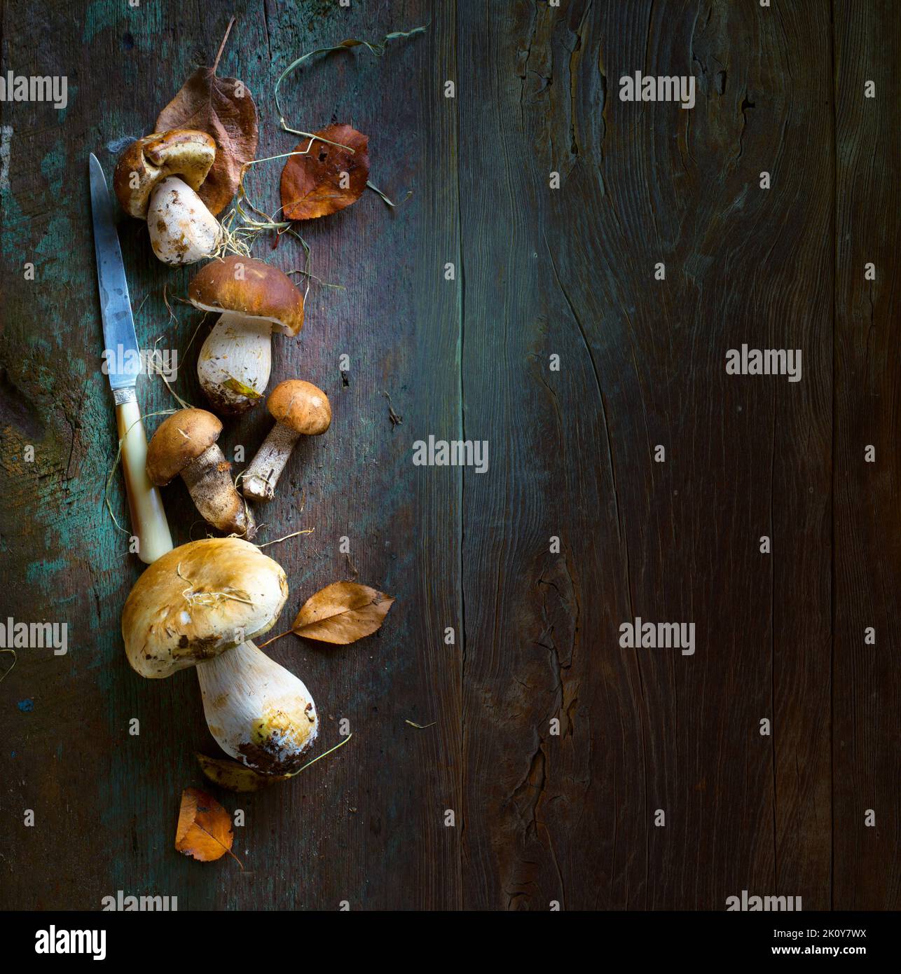 Art beautiful autumn cooking background; seasoning forest organic ...