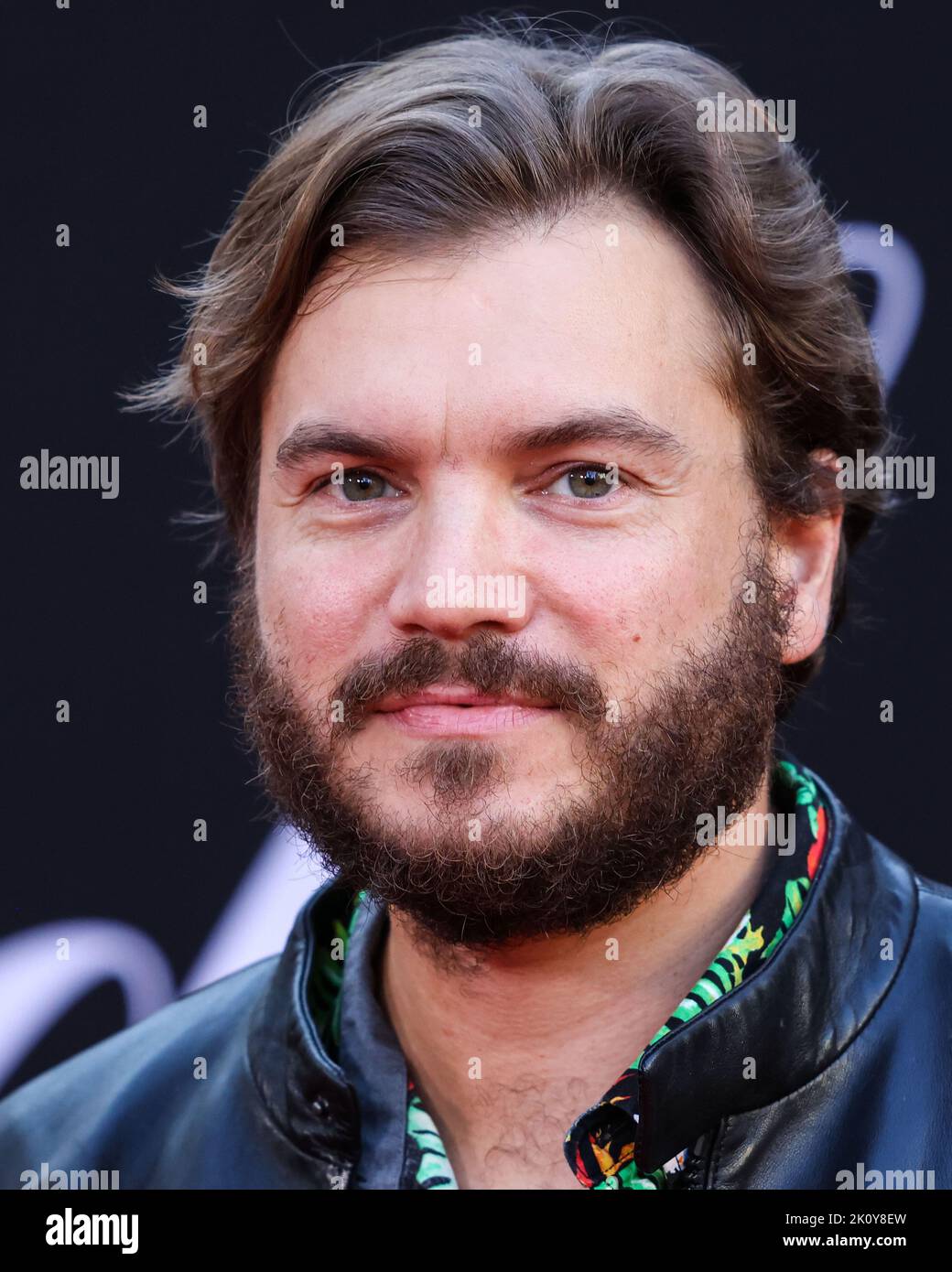 HOLLYWOOD, LOS ANGELES, CALIFORNIA, USA - SEPTEMBER 13: American actor Emile Hirsch arrives at ...