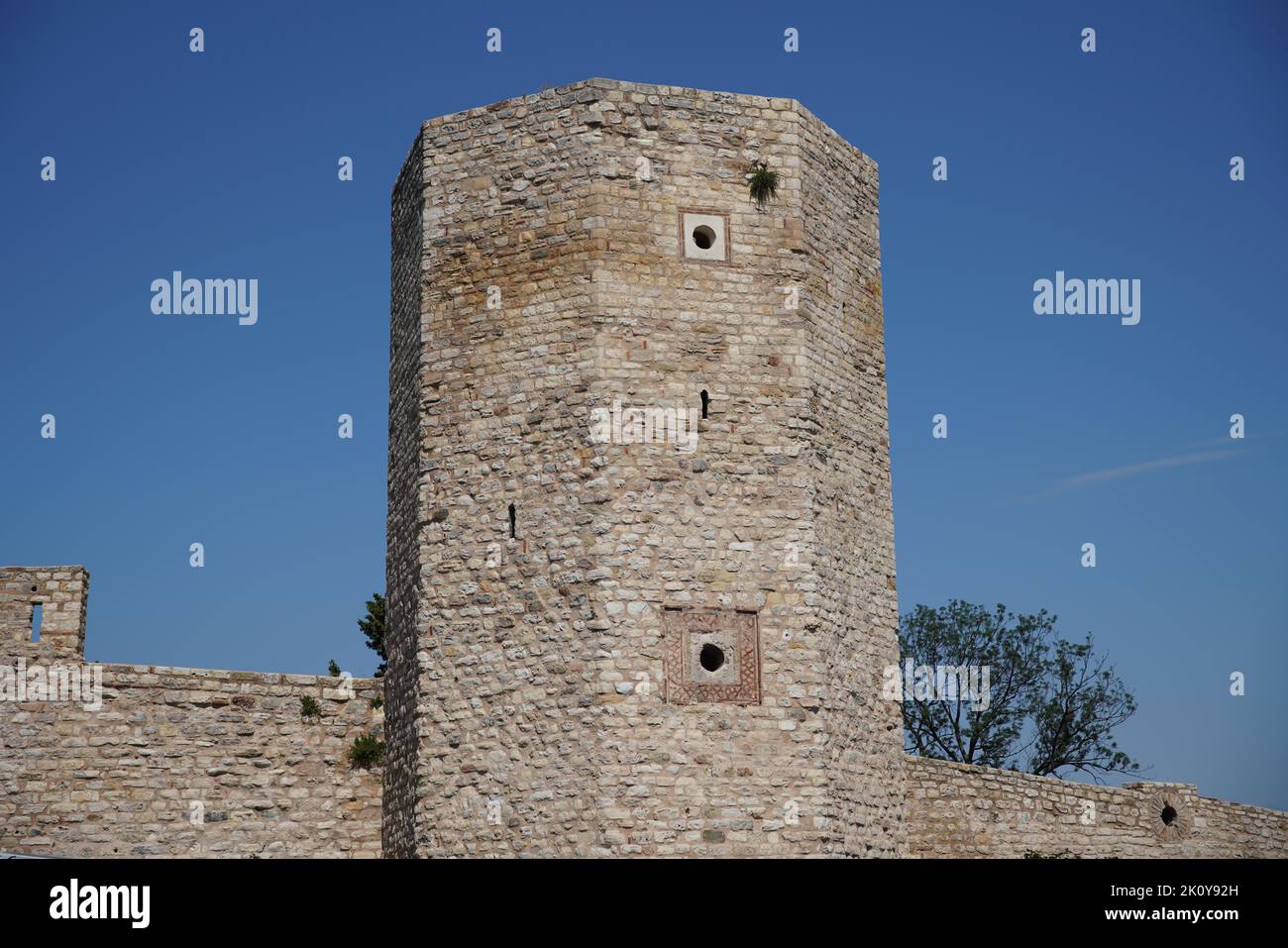 Wall of Topkapi palace in Sultanahmet district, Istanbul City, Turkiye ...
