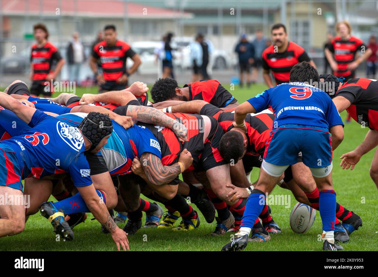 club rugby in new zealand between otaki and waikanae with men playing ...