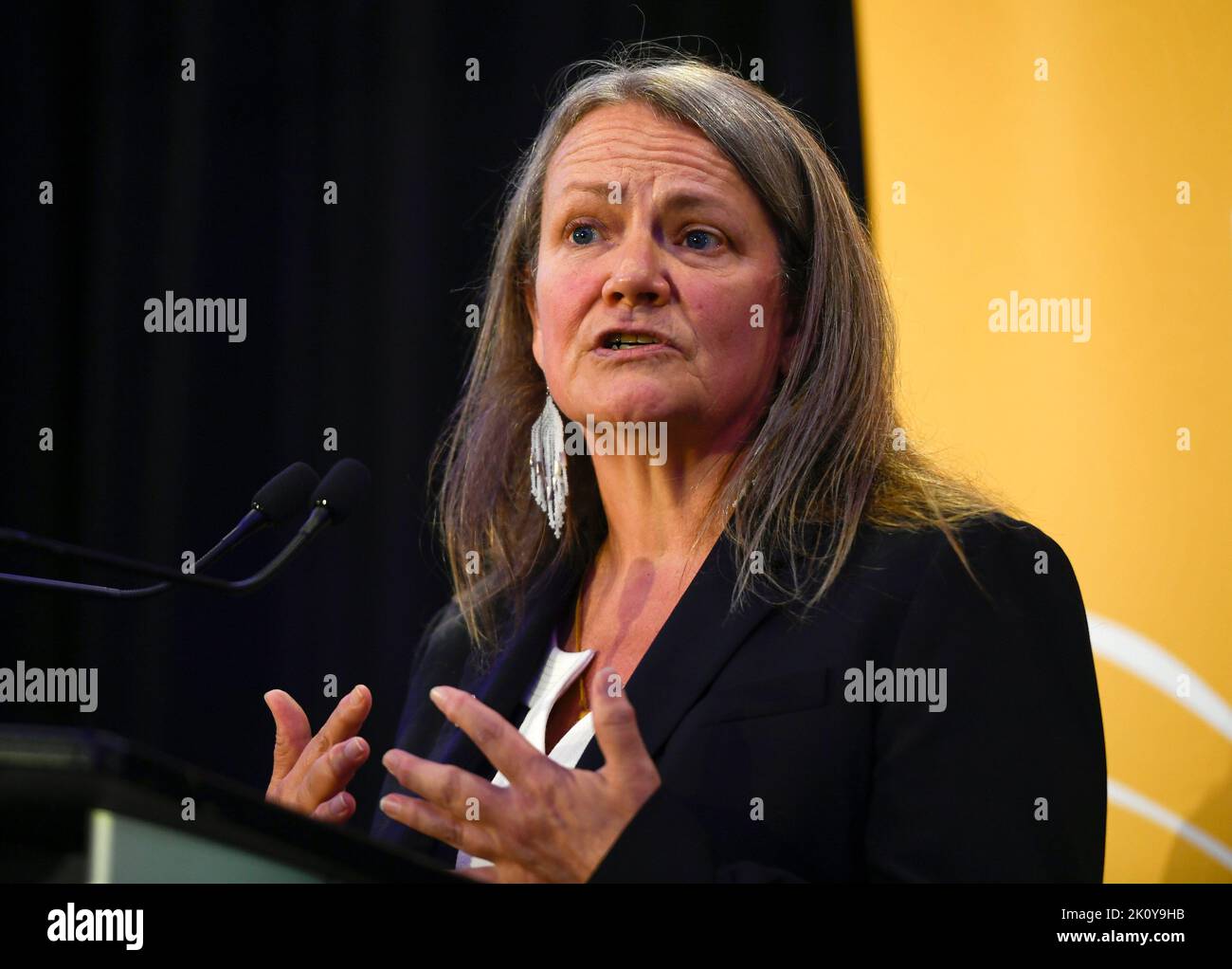 Kimberly Murray speaks after being appointed as Independent Special ...