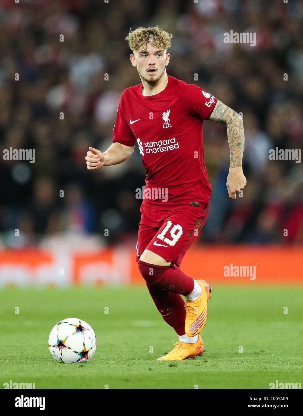 Harvey smith v hi-res stock photography and images - Alamy