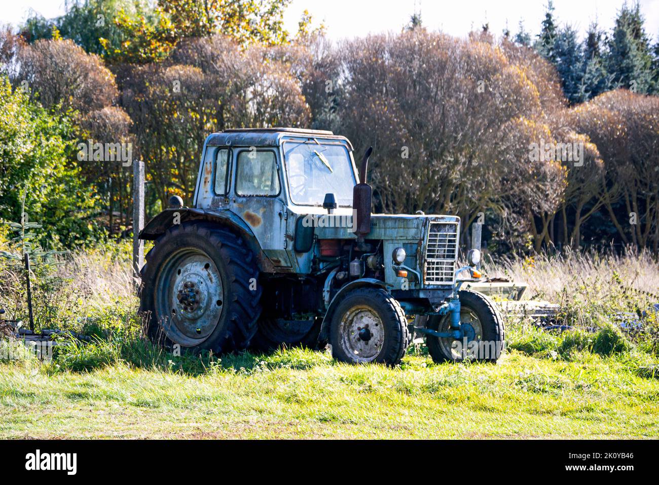 Old vintage blue tractor in the countryside Stock Photo - Alamy