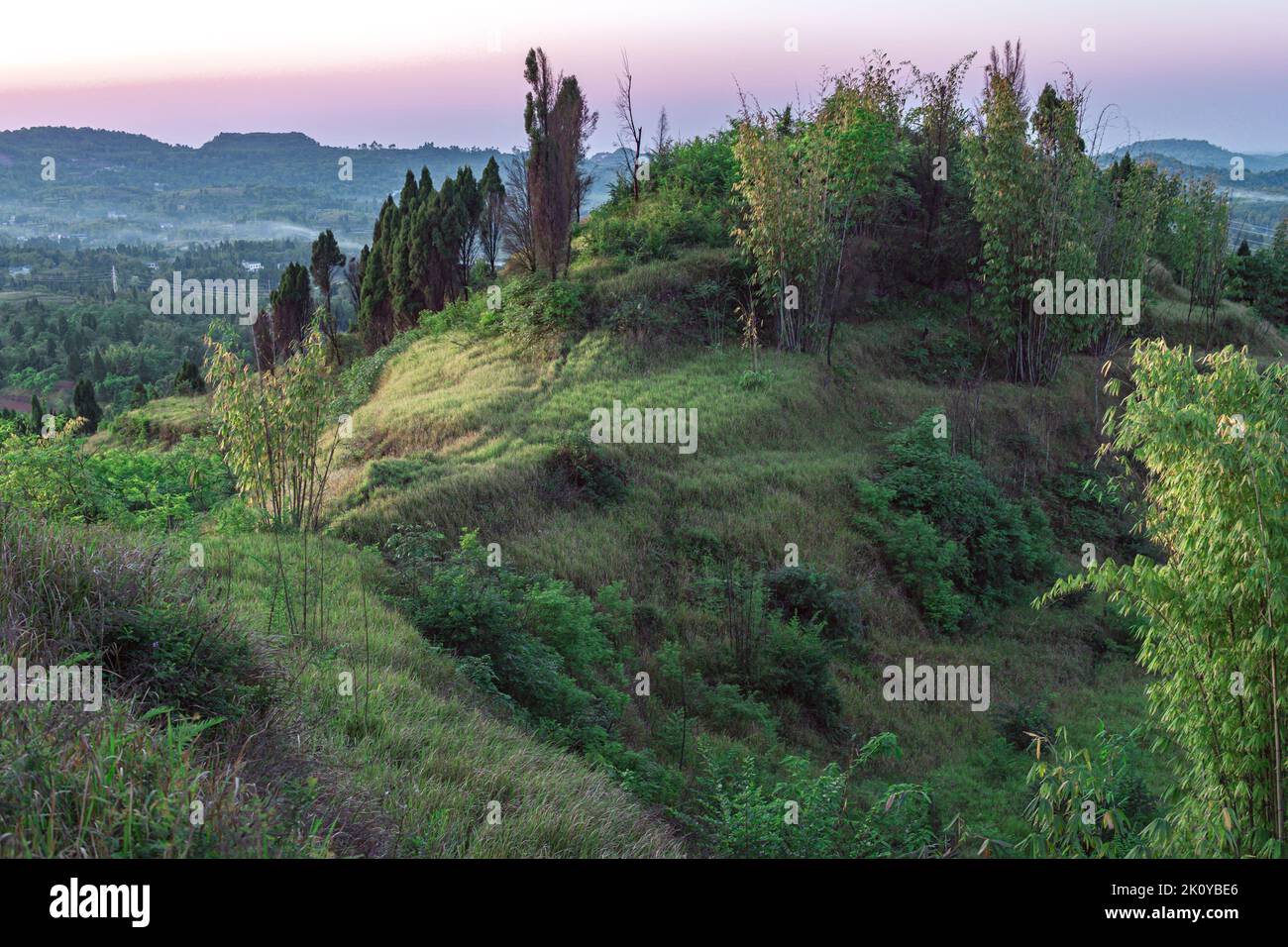A beautiful landscape view of green hills with trees and plants with ...