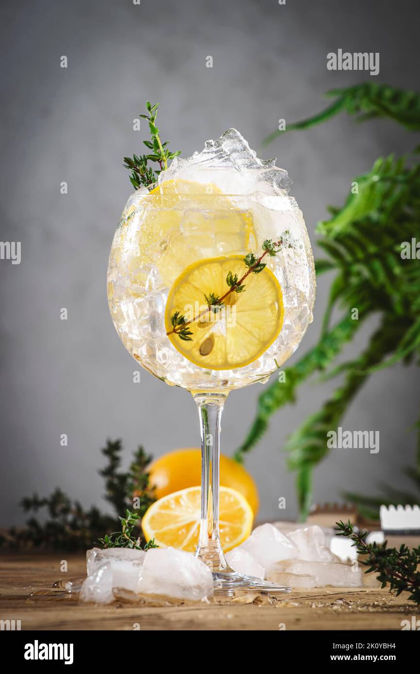 Gin tonic lemon cocktail drink with dry gin, bitter tonic, juice, thyme ...