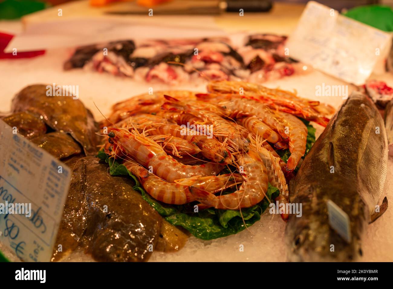 Seafood stall santa caterina market hi-res stock photography and images ...