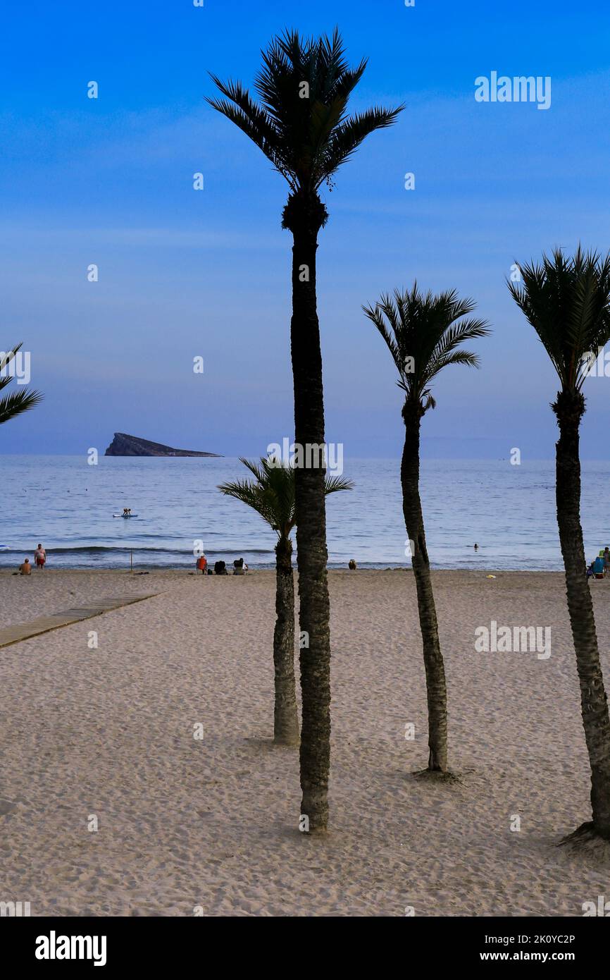 Benidorm, Alicante, Spain- September 11, 2022: Poniente beach with its ...