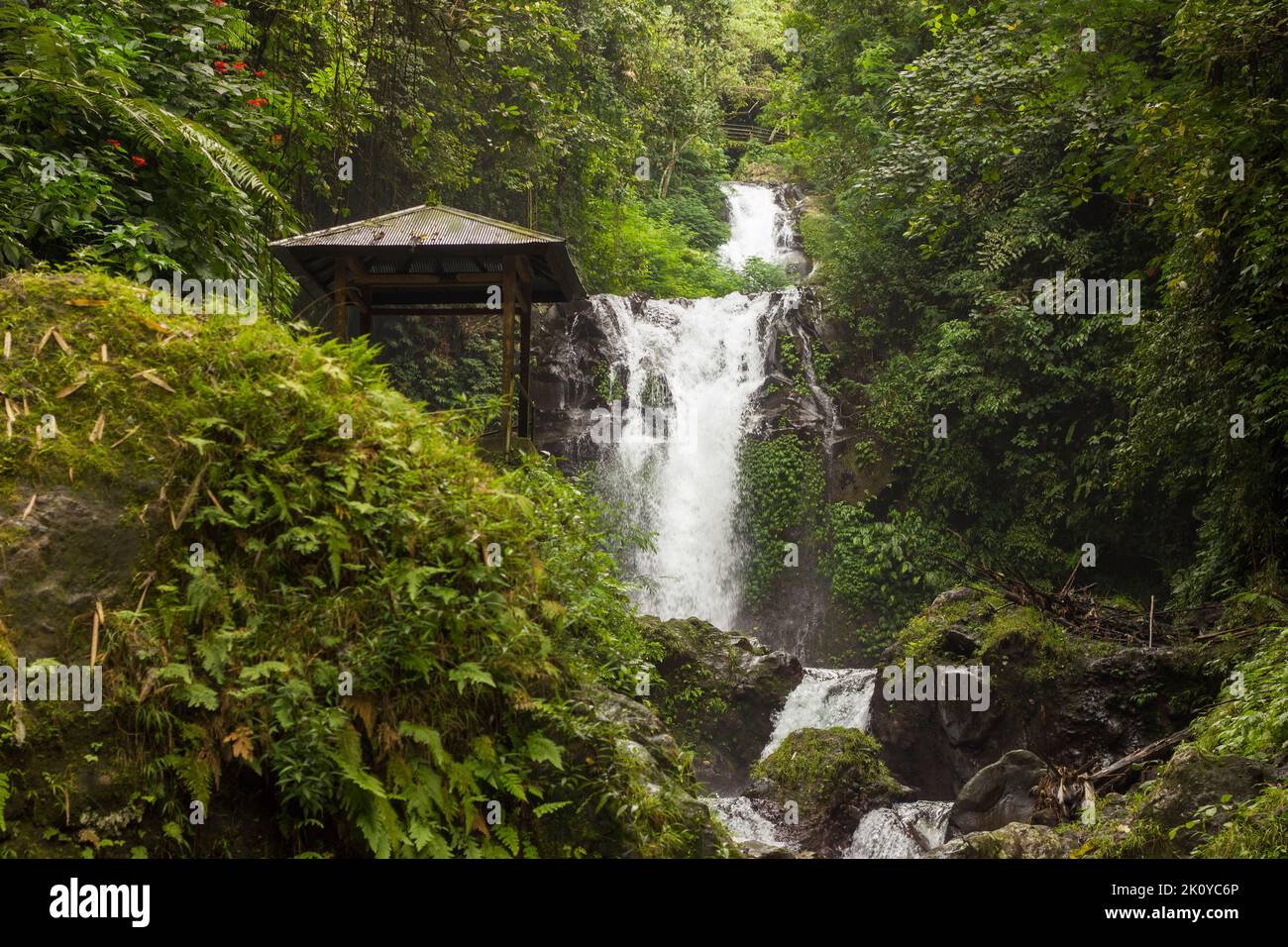Hidden waterfall bali hi-res stock photography and images - Alamy