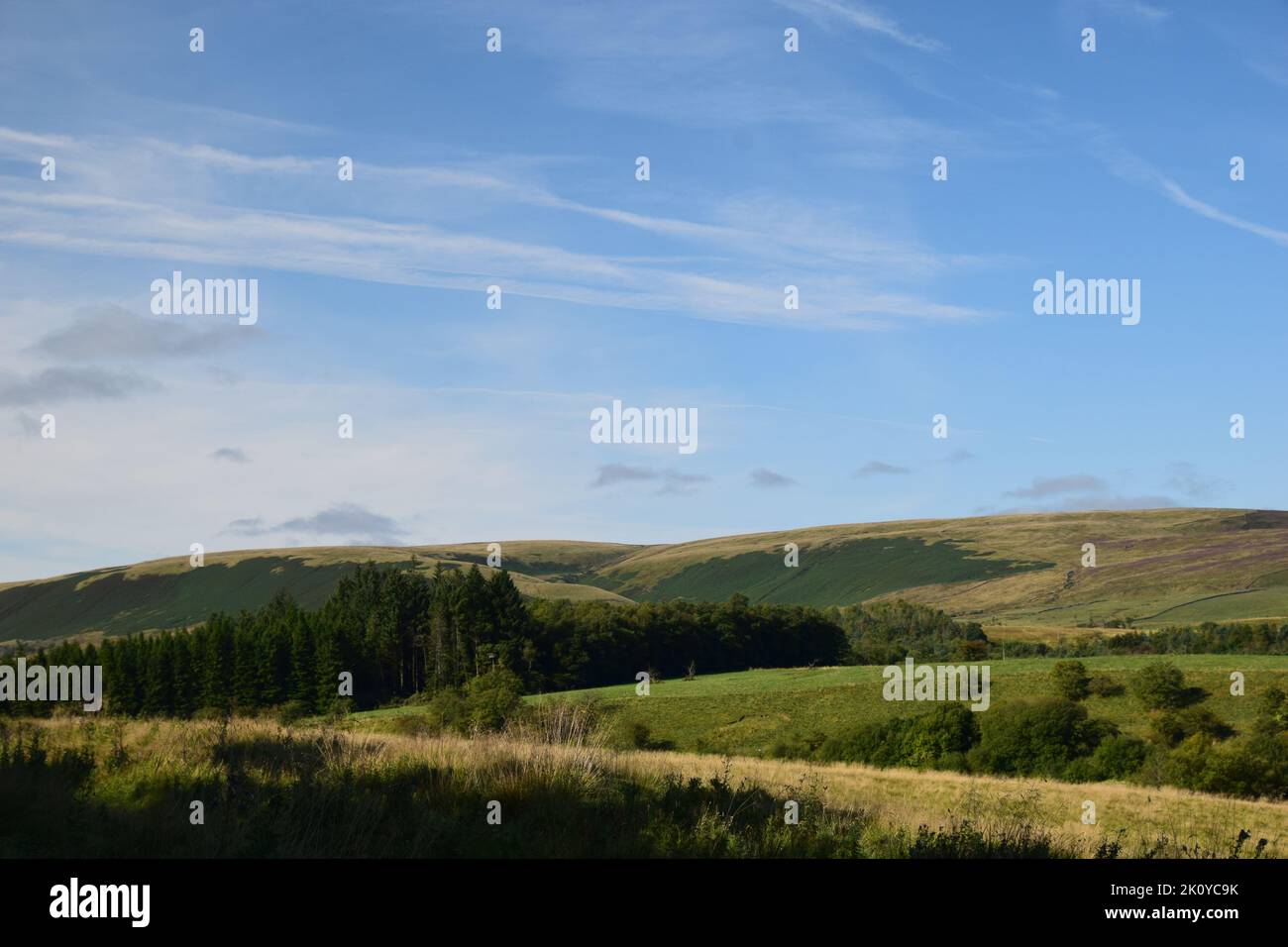 Hiking in the forest of bowland hi-res stock photography and images - Alamy