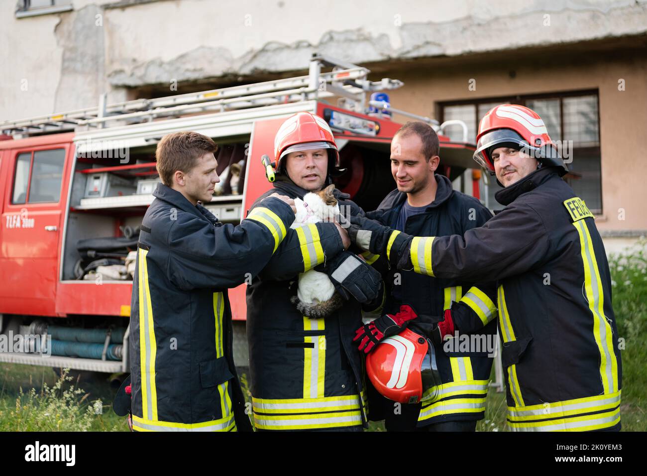 firefighters group in a protective suit and red helmet holds saved cat ...