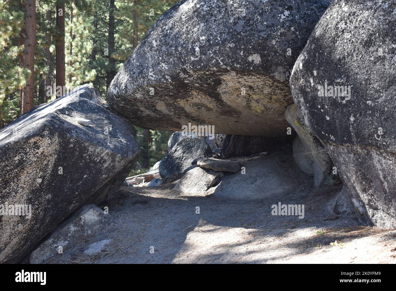 A collection of large rocks in a forest of red fir in Nevada Stock ...
