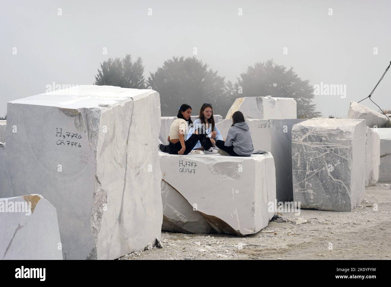 Carrara(Tuscany, Italy), marble quarries Stock Photo - Alamy