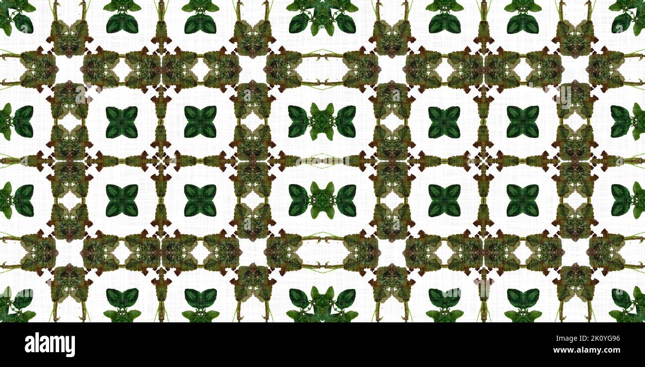 Foliage kaleidoscope seamless border pattern. Trendy optic fresh design ...