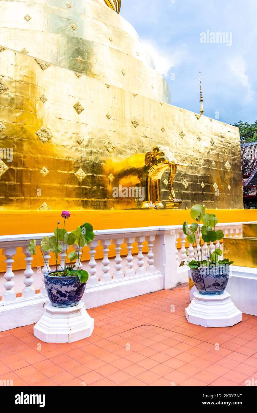 Golden statue of elephant placed on Wat Phra Singh temple in Chiang Mai ...