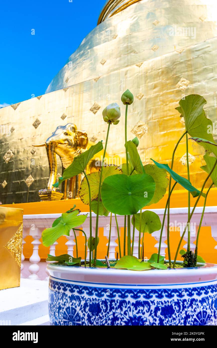 Golden statue of elephant placed on Wat Phra Singh temple in Chiang Mai ...