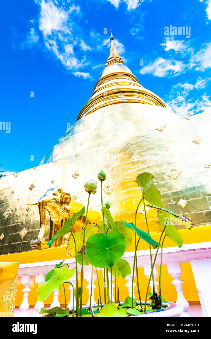 Golden statue of elephant placed on Wat Phra Singh temple in Chiang Mai ...