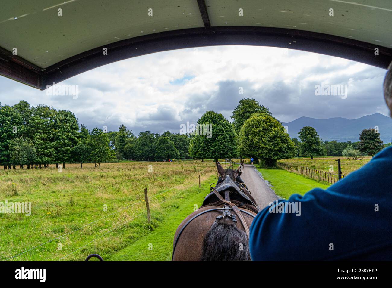 Killarney National Park with a scenic tour from Killarney Jaunting Cars ...