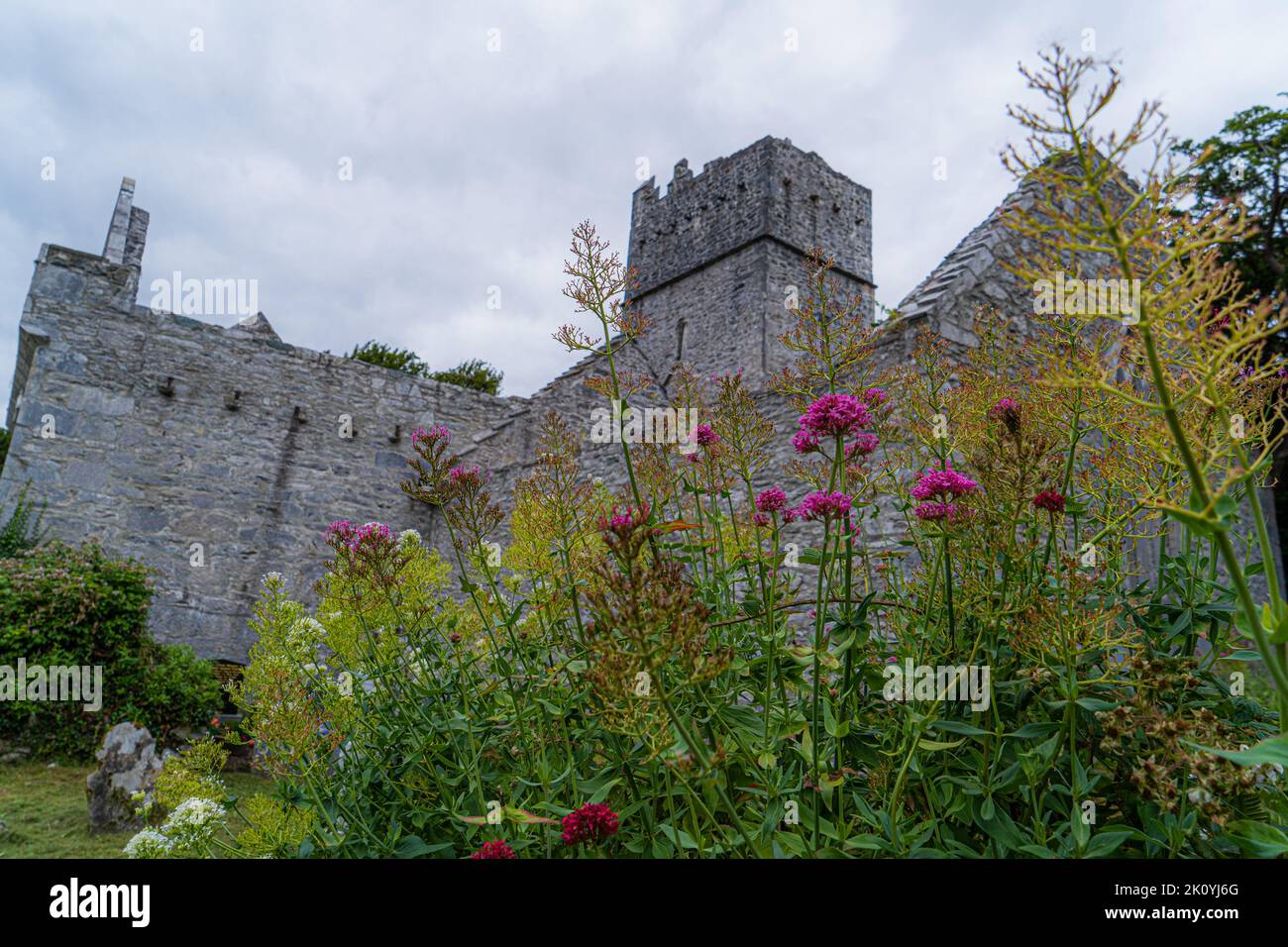 Irish ecclesiastical architecture hi-res stock photography and images ...