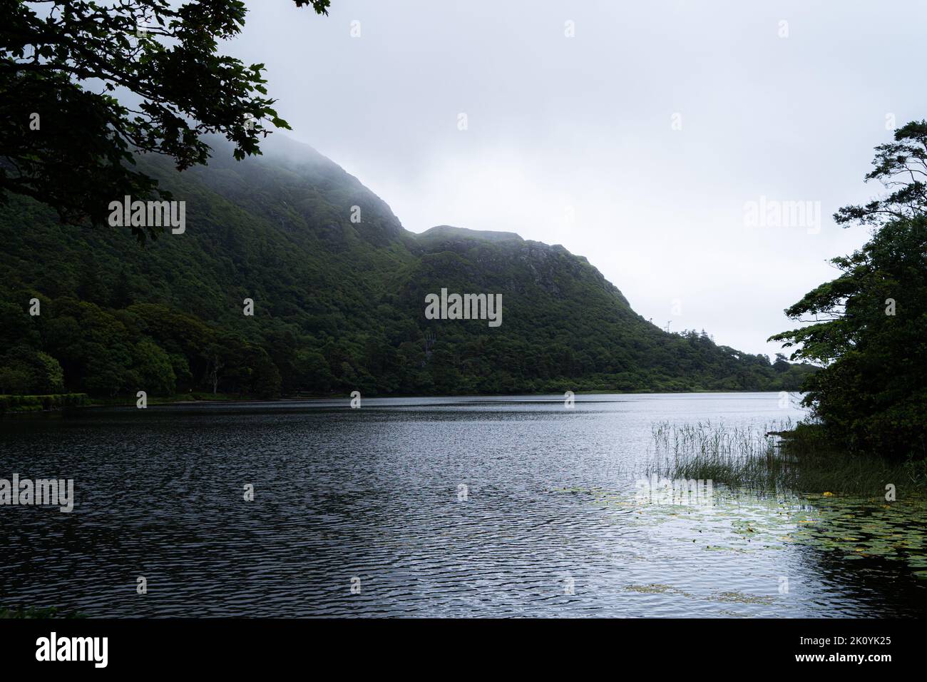 Pollacappul Lough is a lake in County Galway. Pollacappul Lough is ...