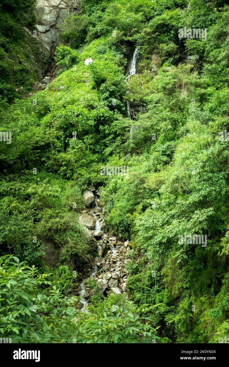 A small water stream pouring down a mountain covered with wild green ...