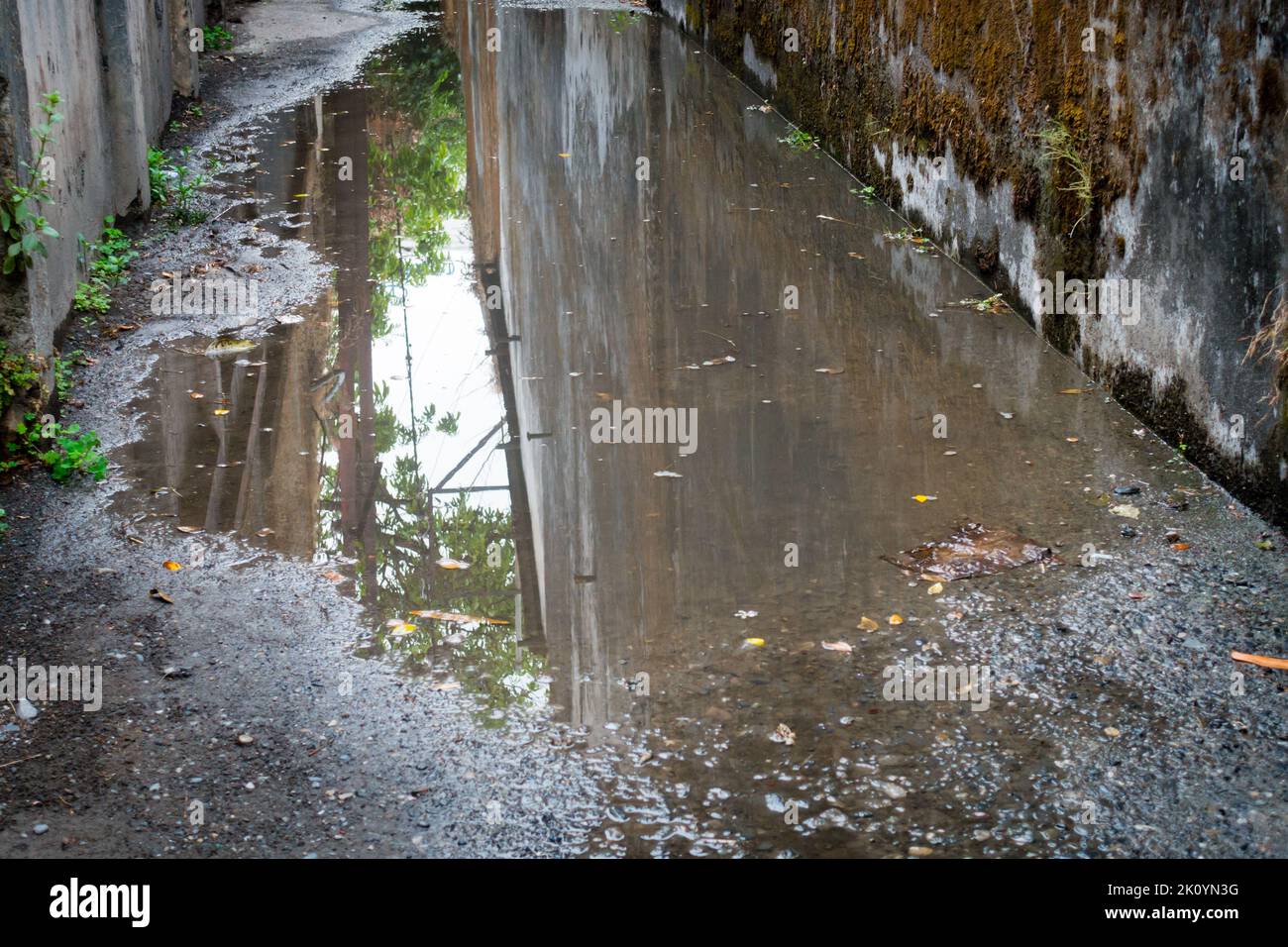 Water logging during monsoon on the streets of Dehradun city in India ...