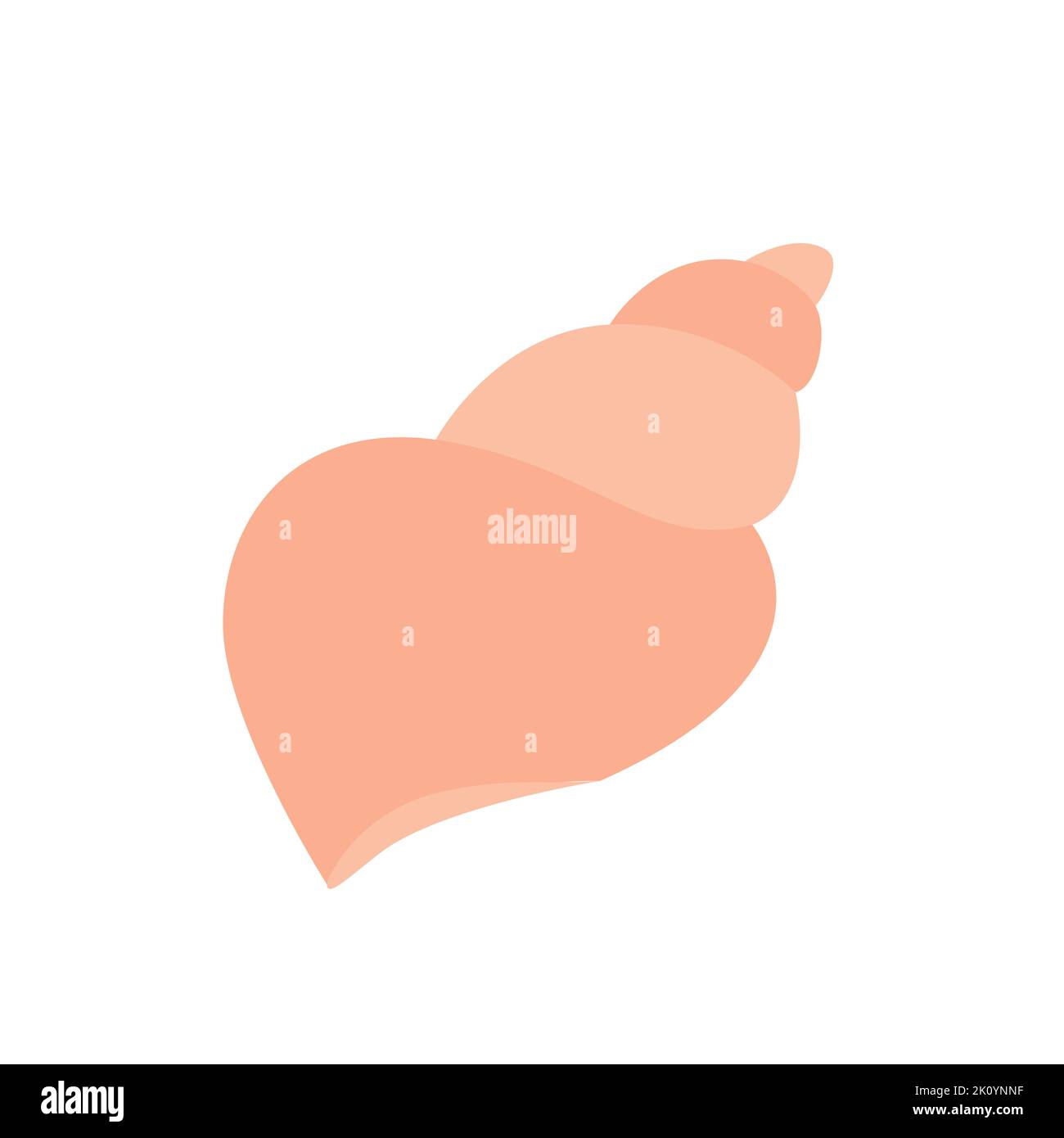 sea shell isolated on white background vector Stock Vector Image & Art ...