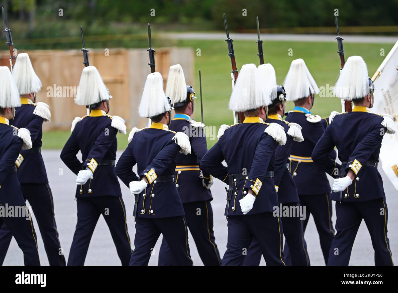 Swedish army cavalry infantry regiment hi-res stock photography and ...