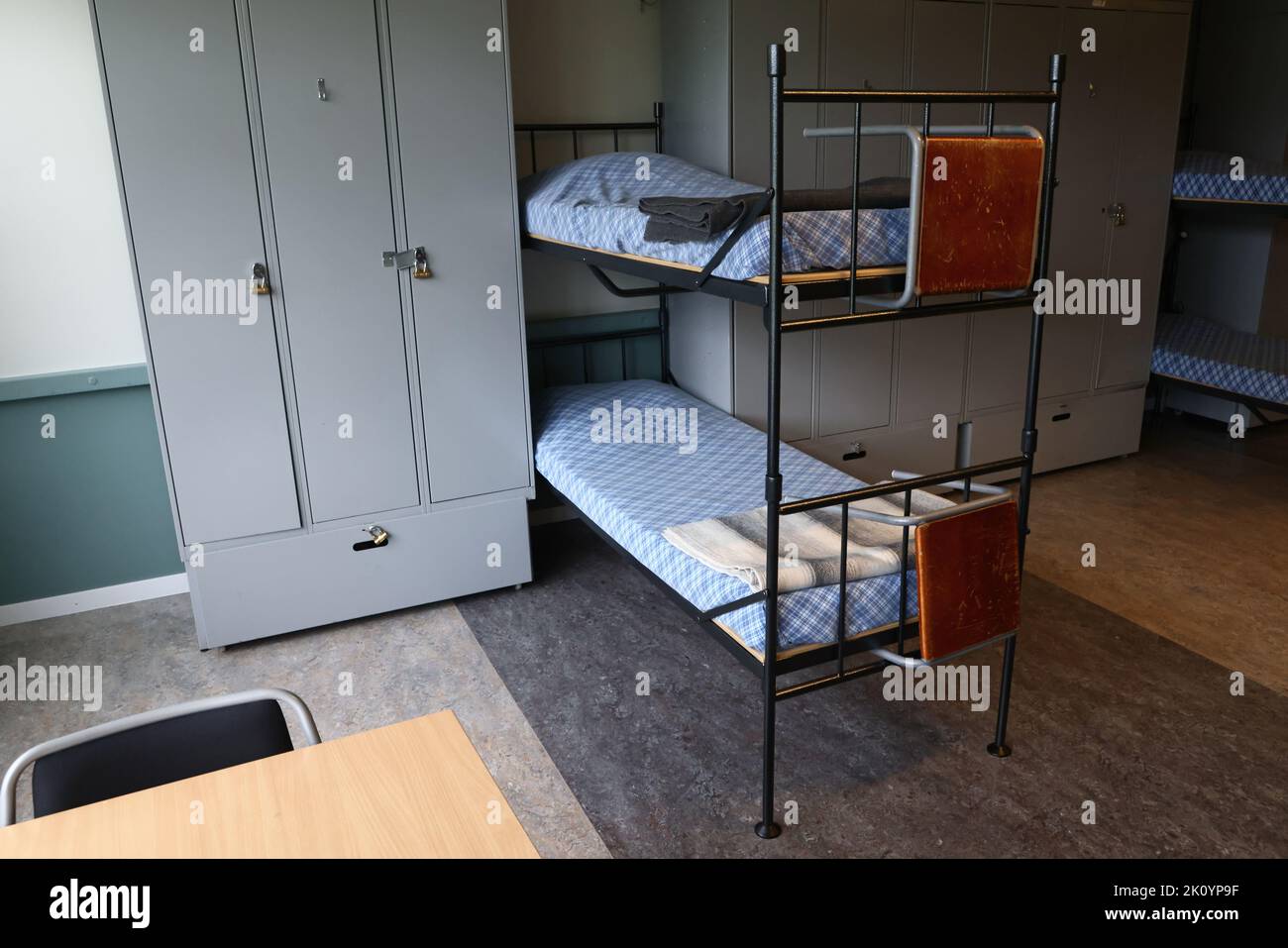 Swedish army cavalry infantry regiment hi-res stock photography and ...