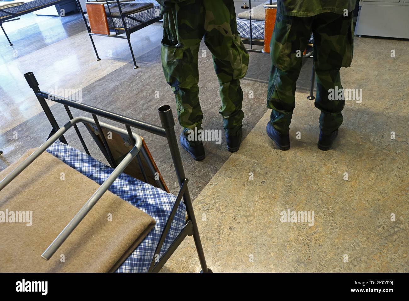 During Saturday, the Life Guard and the Armed Forces in Kungsängen ...