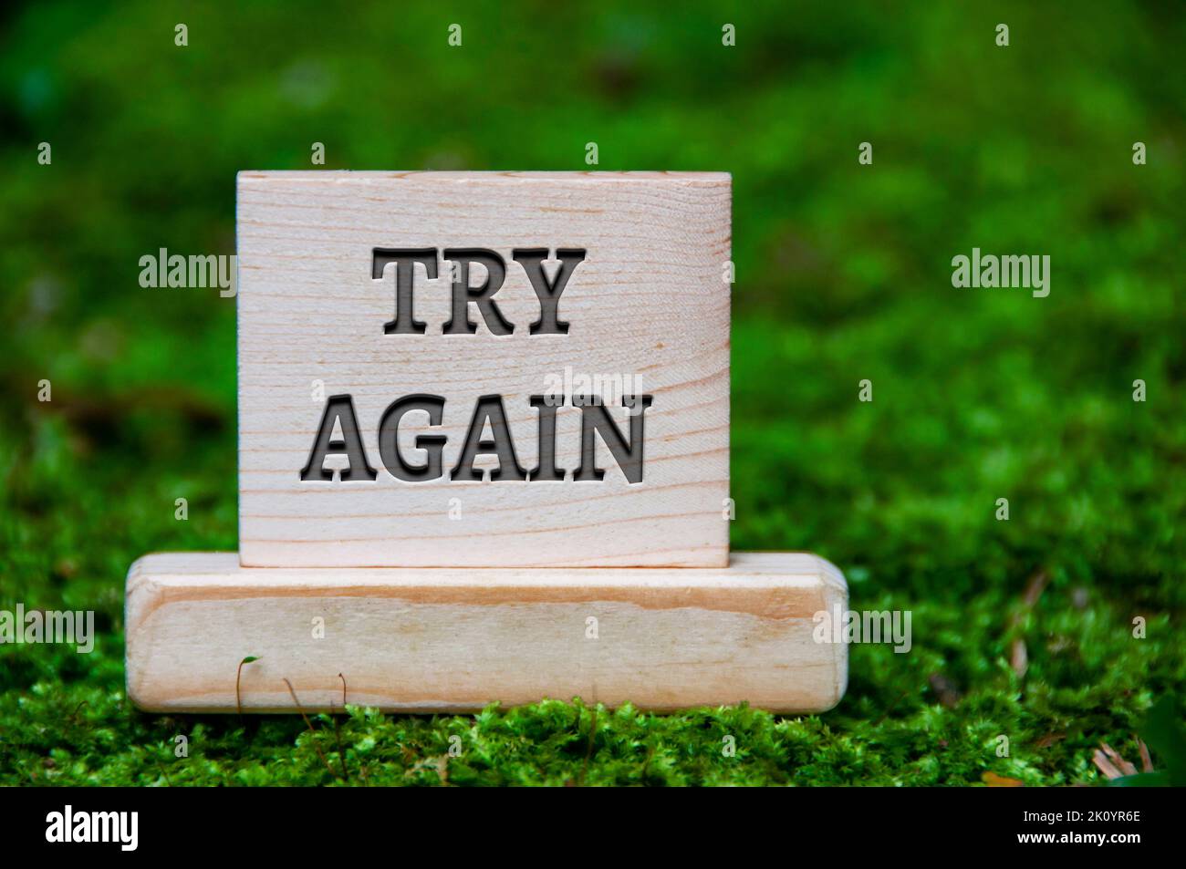 Try again text on wooden block with green nature background ...