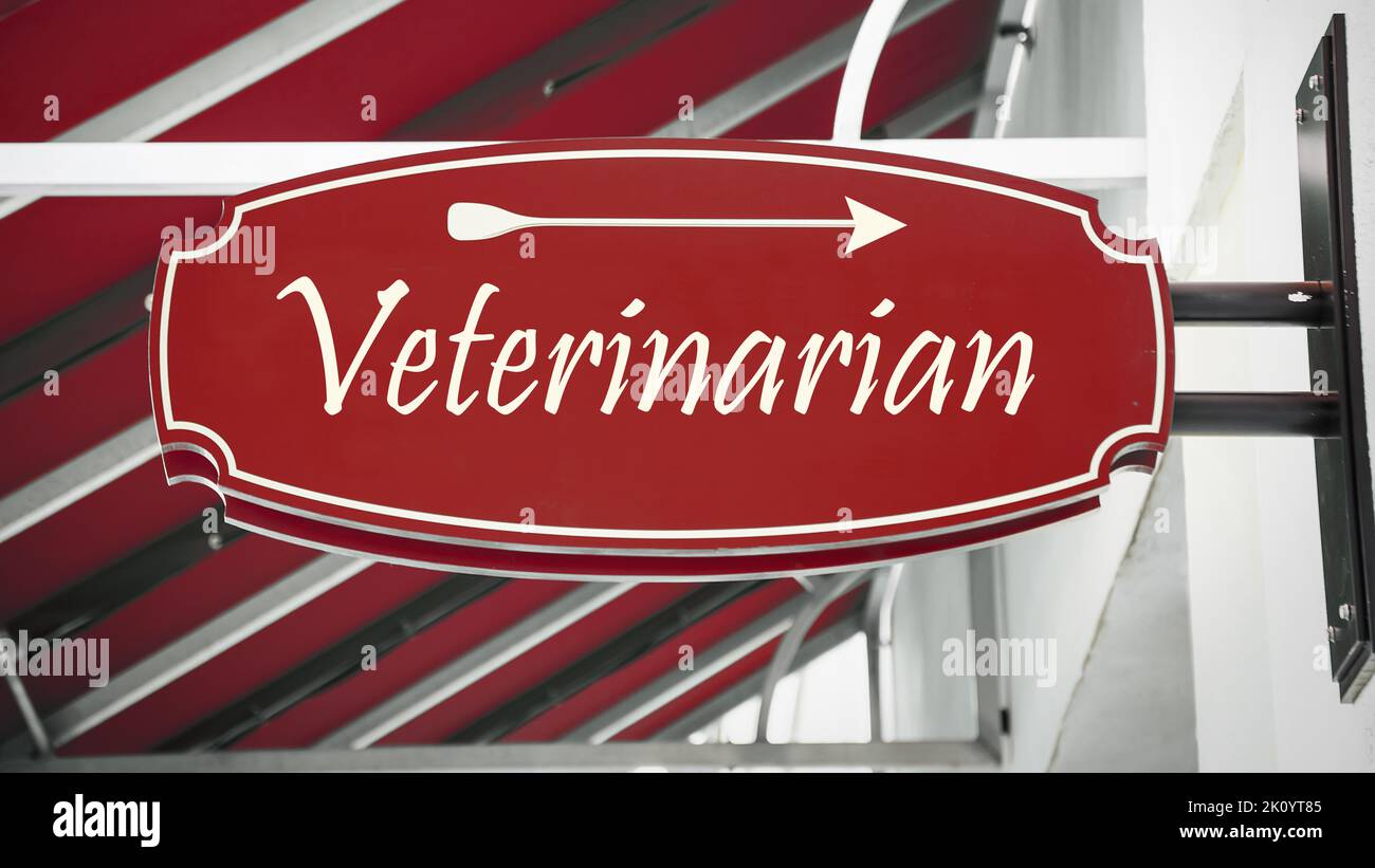 Street Sign tne Direction Way to Veterinarian Stock Photo - Alamy