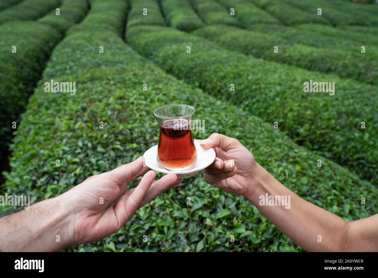 front view closeup of two people enjoying a traditional glass of ...