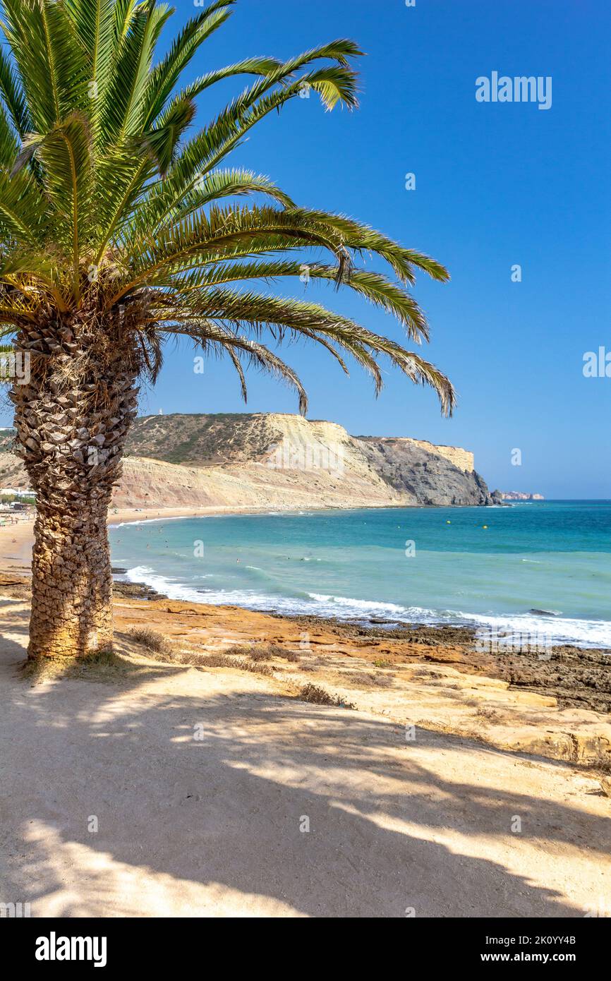 Coastal promenade at Luz beach, Lagos, Portugal. Palm trees and clear ...