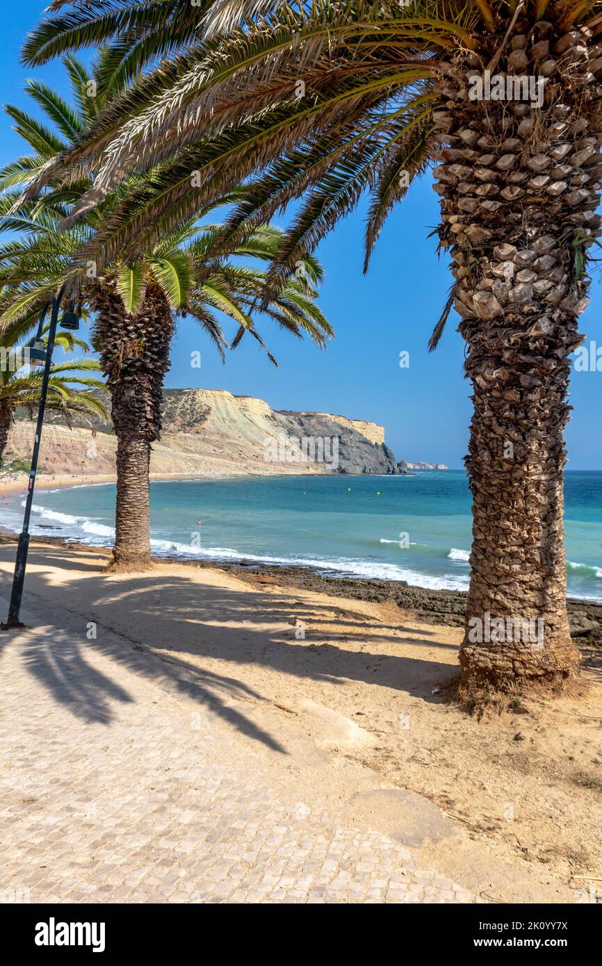Coast of Luz beach, Lagos, Portugal. Palm trees and clear blue sky ...