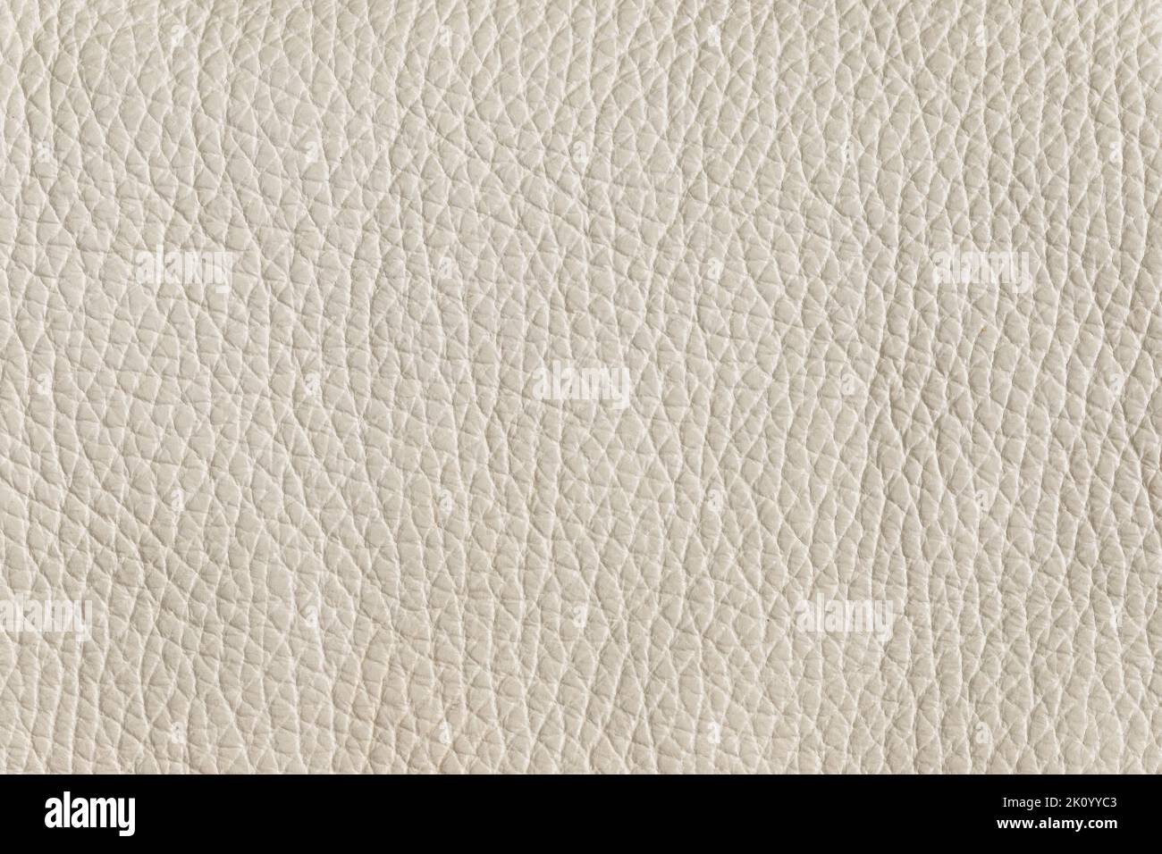 Beige Leather Texture