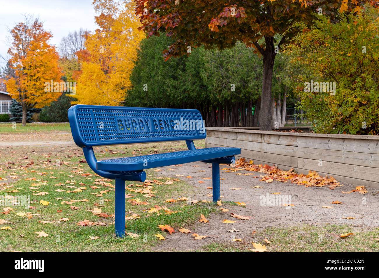 Blue buddy bench in the public park near school in autumn Stock Photo ...