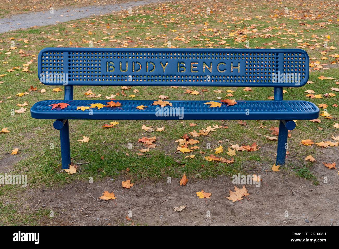 Blue buddy bench in the public park near school in fall Stock Photo - Alamy