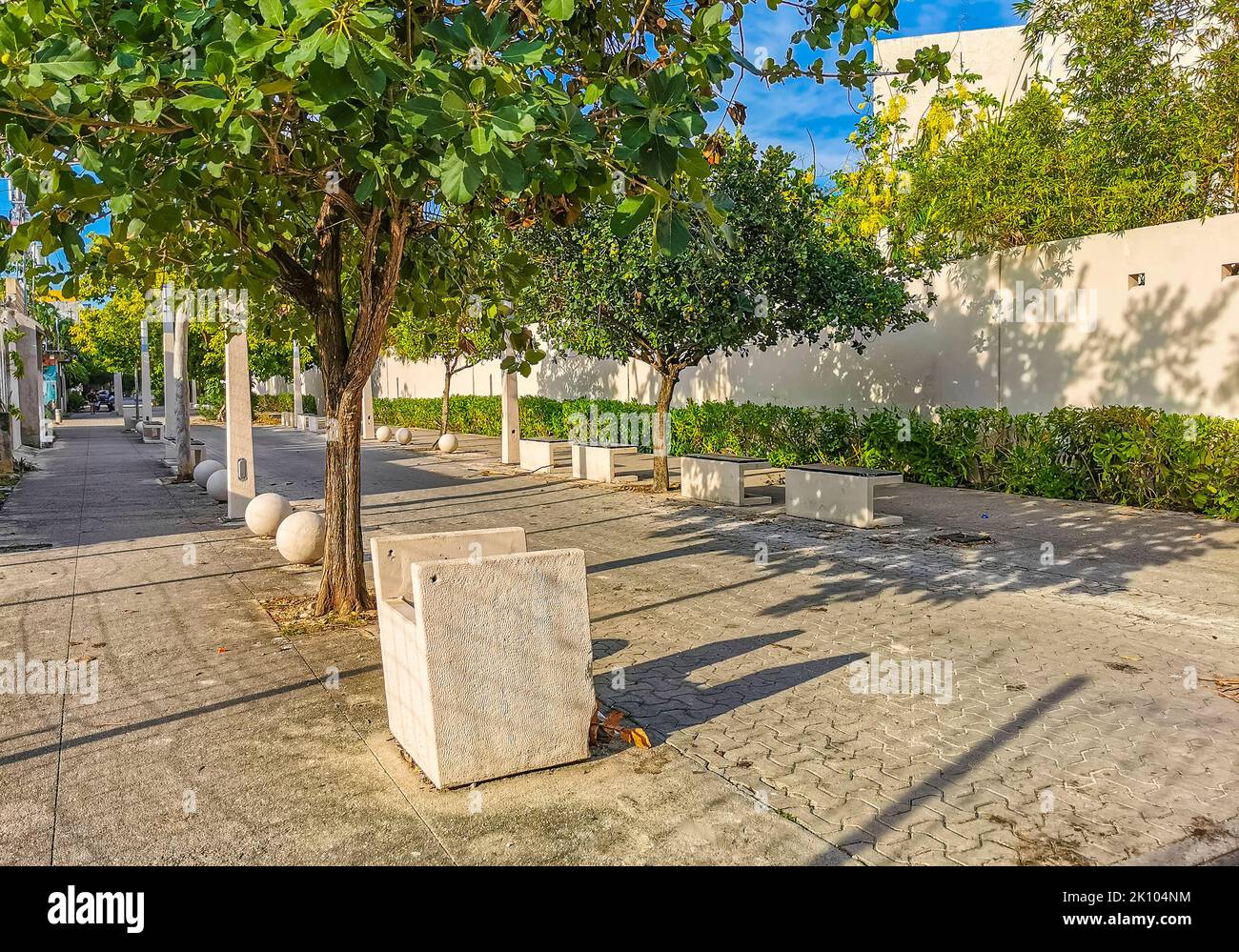 Typical pedestrian street road and cityscape with palm trees benches ...