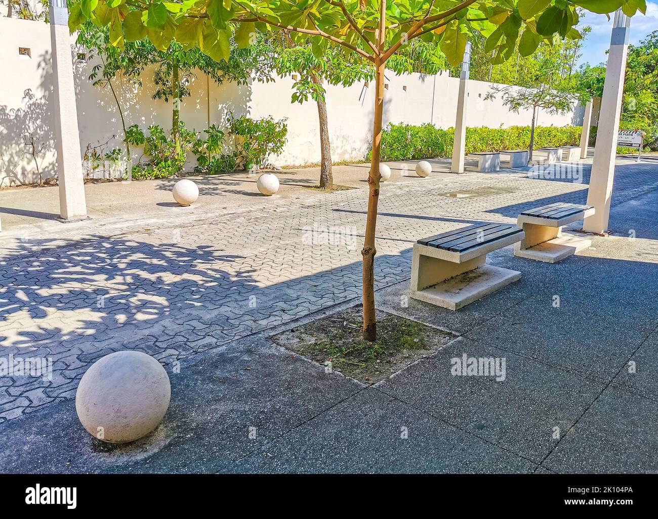 Typical pedestrian street road and cityscape with palm trees benches ...