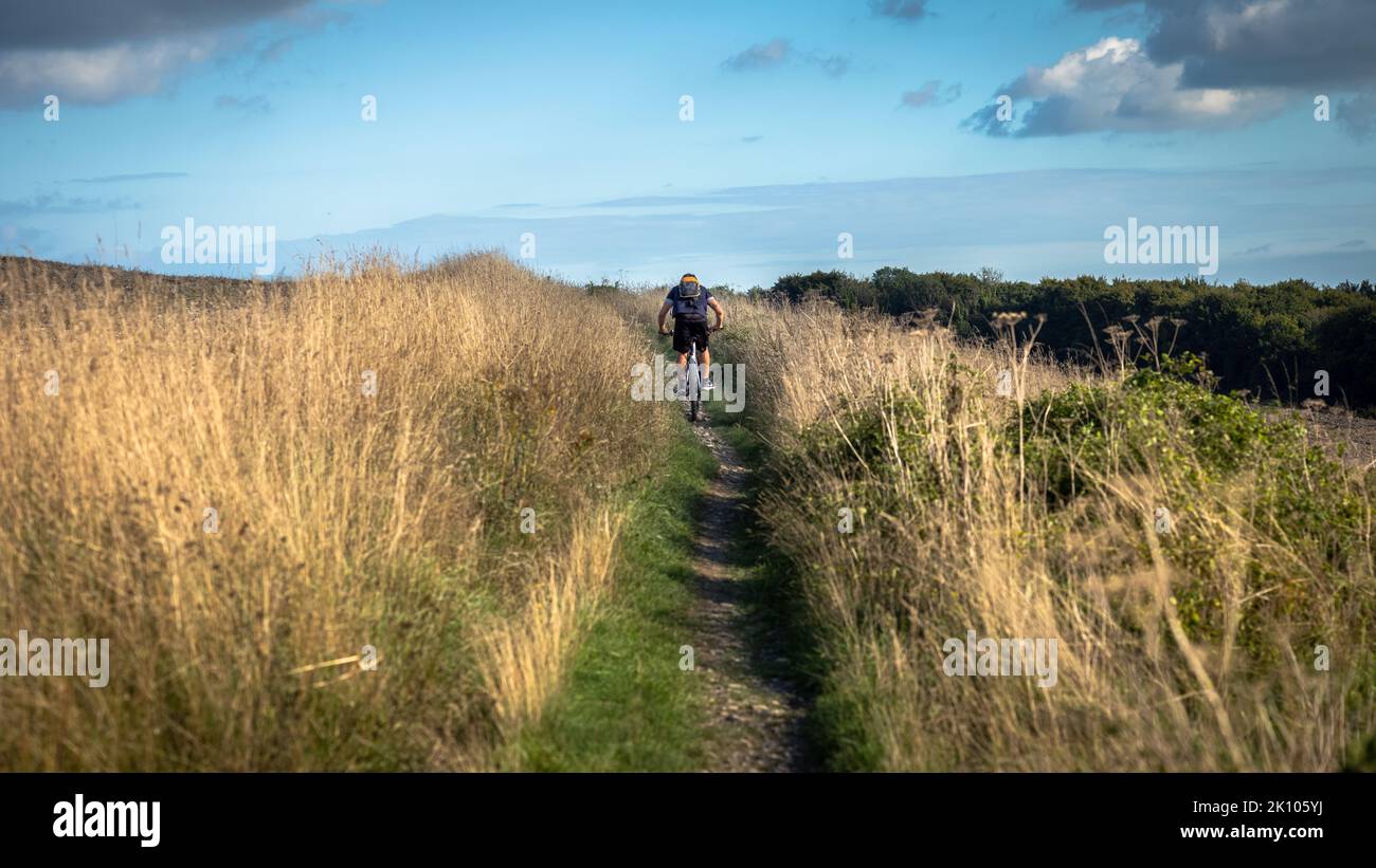A lone male cyclist makes his way along the South Downs Way long ...
