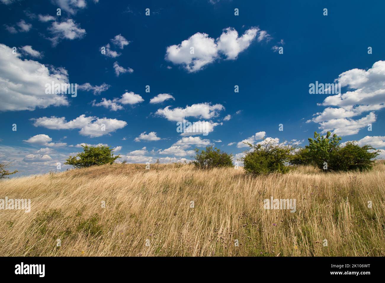 Dry grass on Table mountain in Palava, in hot summer day under white ...