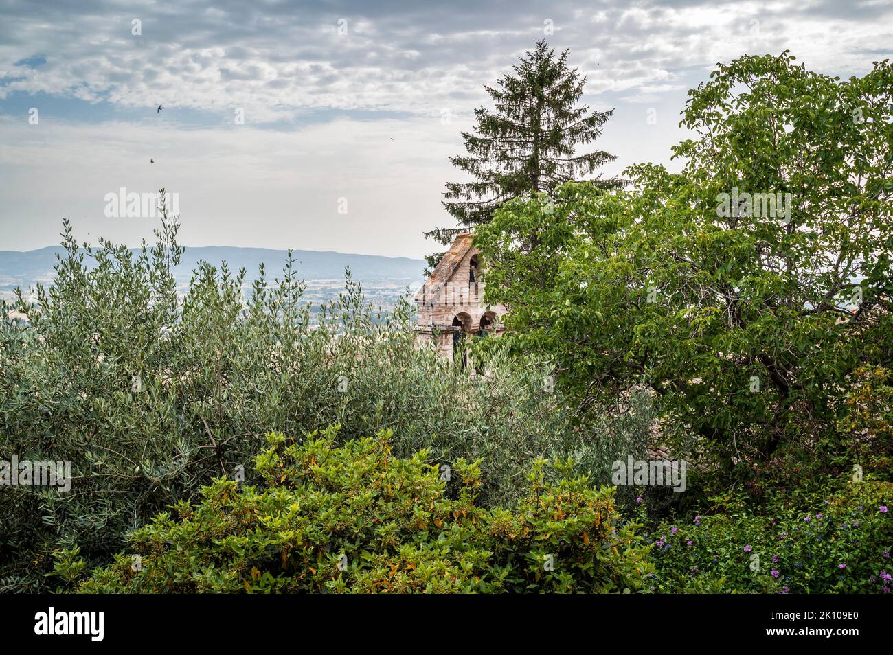 Assisi, a journey through history and religion Stock Photo - Alamy Assisi, a journey through history and religion Stock Photo - Alamy