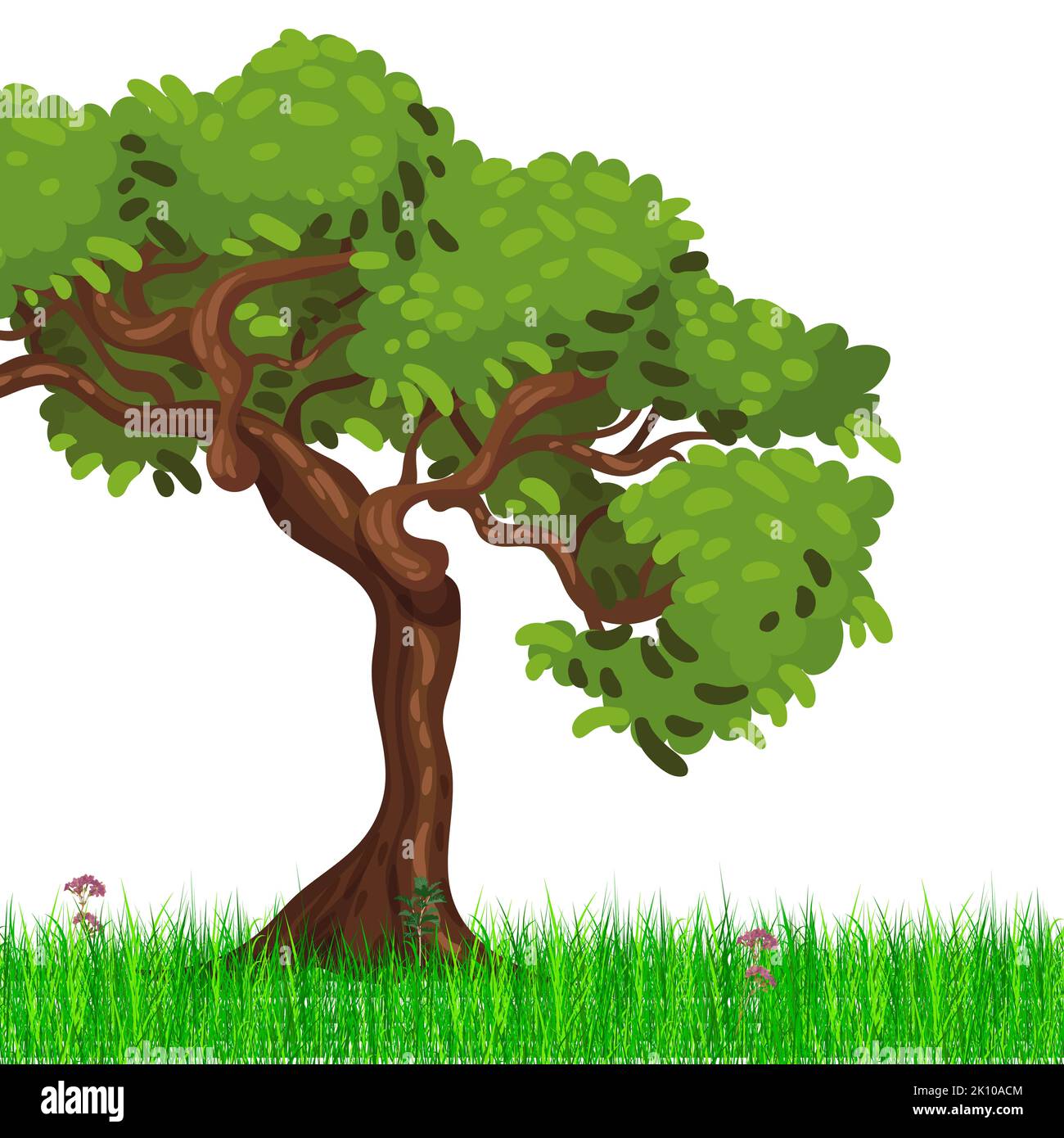 A big tree with grass and small plants Stock Photo - Alamy