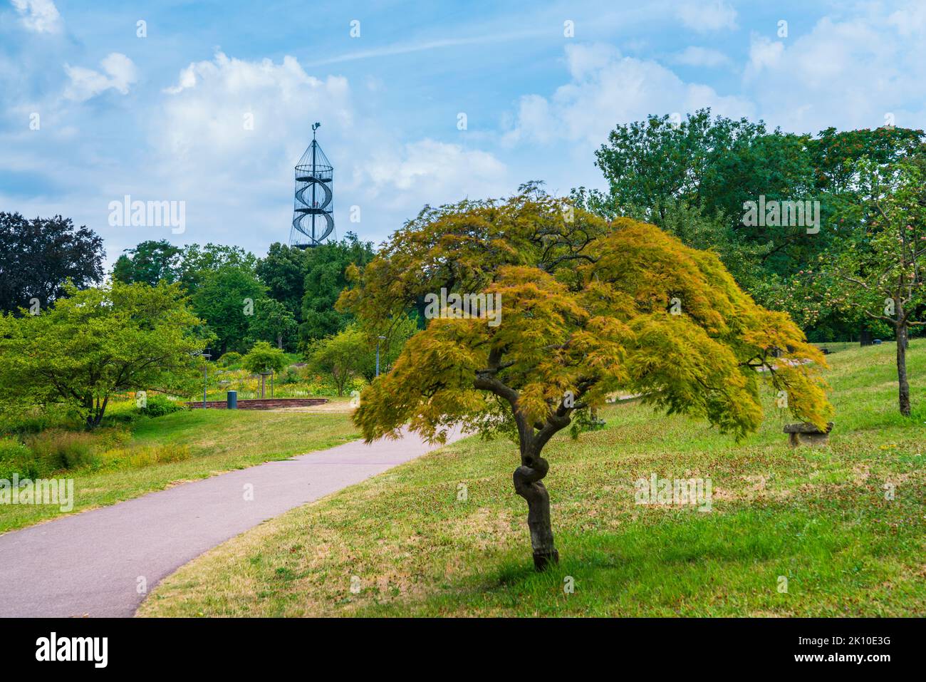Germany, Stuttgart city killesberg urban park with killesbergturm tower ...