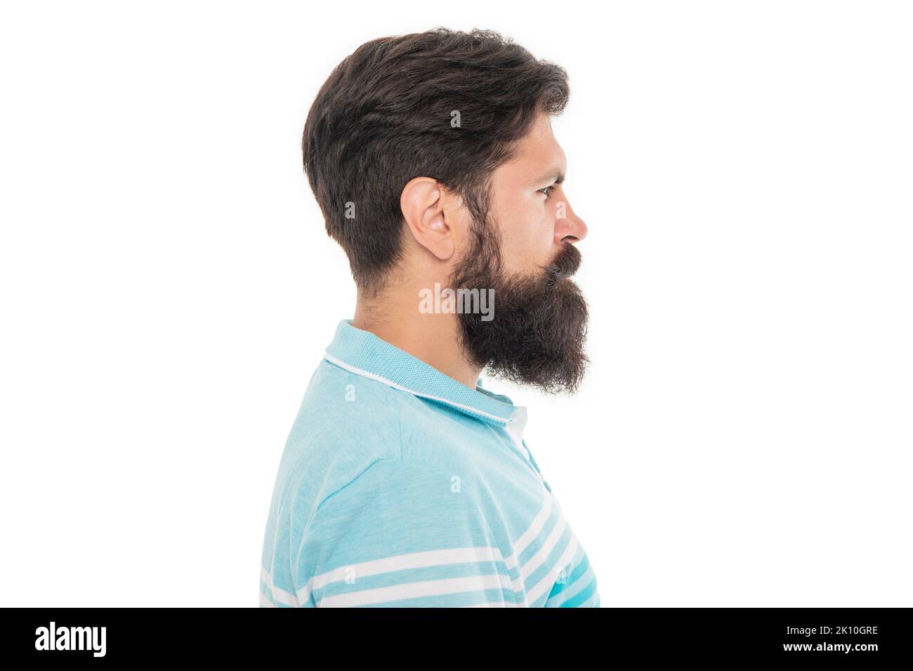 Bearded man profile portrait. Man profile face with beard and moustache ...