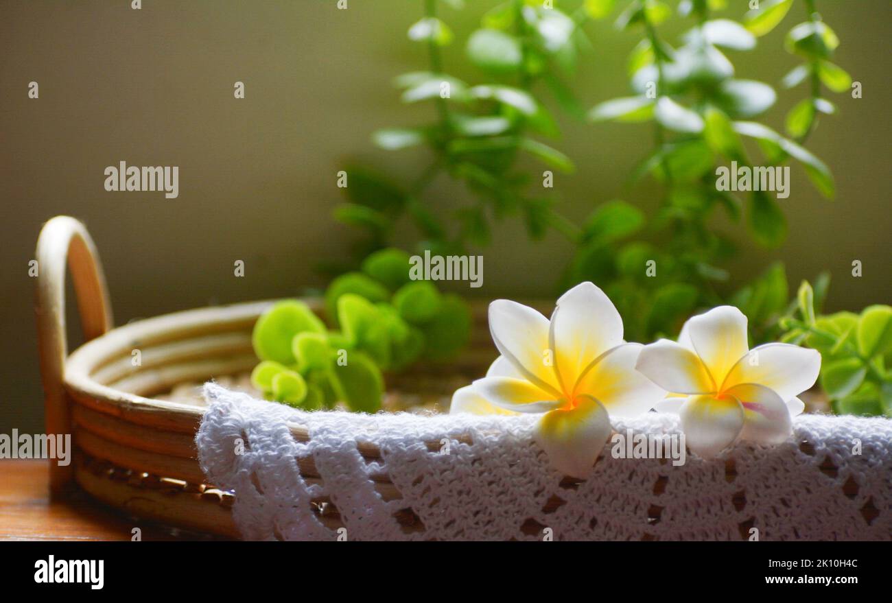 Kath golap flower hi-res stock photography and images - Alamy