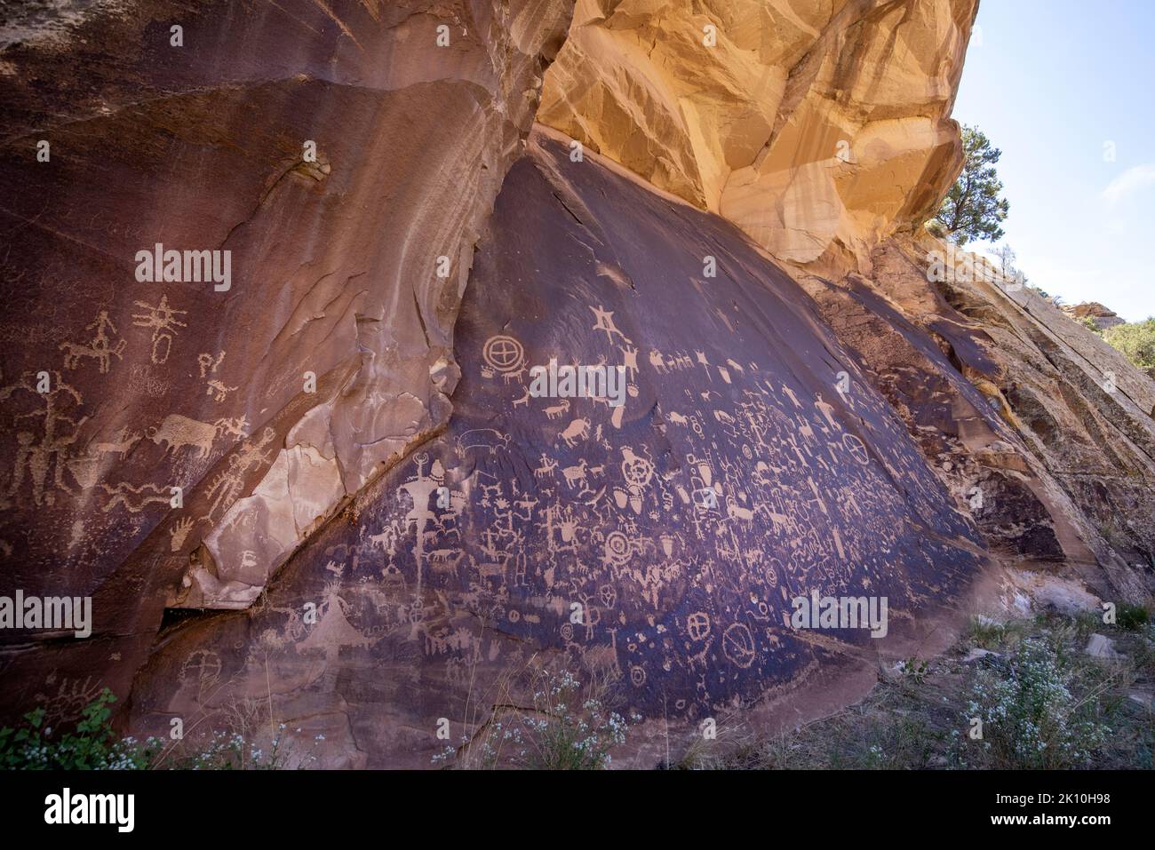 Petroglyphs Newspaper Rock in San Juan County, Utah, is covered with ...