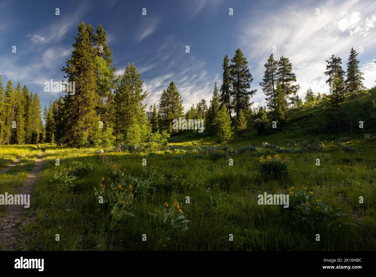 Bug canyon trail hi-res stock photography and images - Alamy