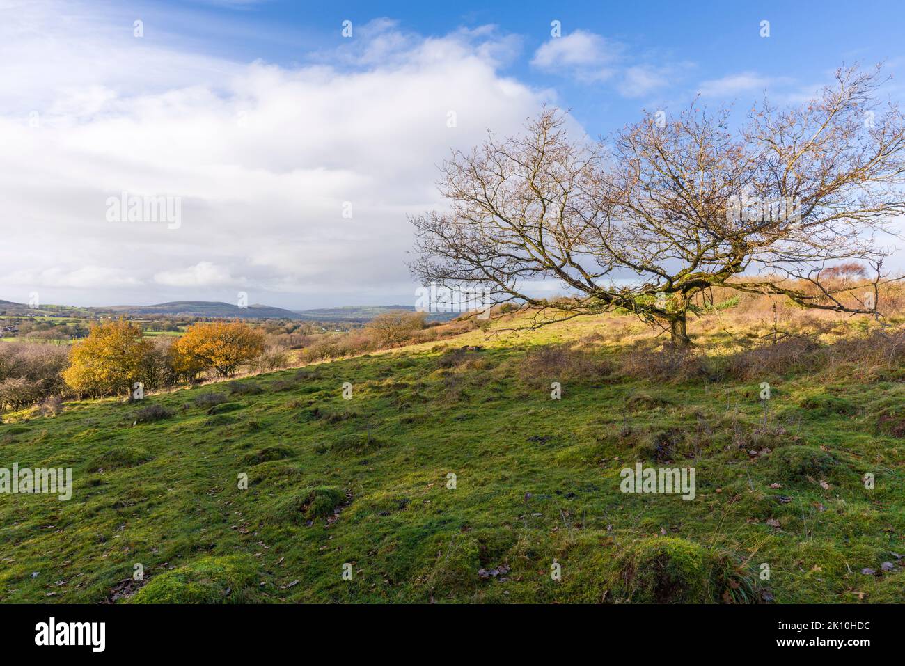 Dolebury Warren in the Mendip Hills National Landscape in late autumn ...