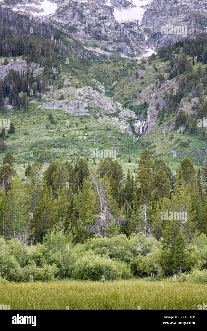 Moose ponds trail hi-res stock photography and images - Alamy